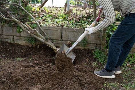 DIYで土地を整地する方法 コラム 神奈川で土木工事なら株式会社総栄 神奈川で土木工事なら株式会社総栄
