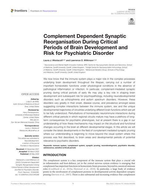 Pdf Complement Dependent Synaptic Reorganisation During Critical