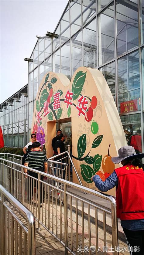 醉美汝陽中農富源嘉年華花海洋 每日頭條