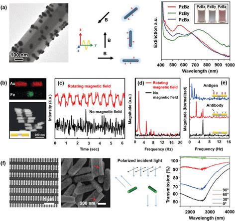 Magnetic‐field‐controlled Plasmonic Responses A Magnetic Tuning Of