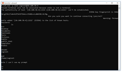 using ssh exe from wsl does not work properly · issue 990 · powershell