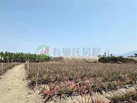 屏東好美麗完整農地，退休慢活生活首選~539萬 屏東縣新埤鄉上萬安段房屋出售 Ut0201647 有巢氏房屋