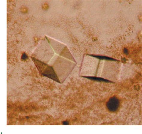 Figure 1 From Crystallization And Preliminary X Ray Analysis Of A Dye
