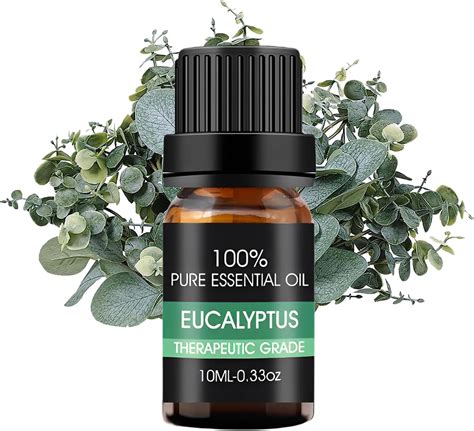 Aromatherapy Diffuser Eucalyptus At Alicia Barrenger Blog