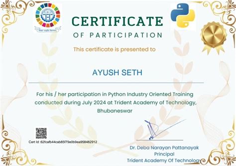Ayush Seth On Linkedin Python Pythontraining Industryorientedtraining Professionaldevelopment