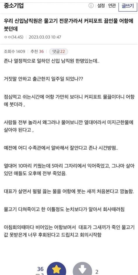 수족관 알바를 해본 신입사원 유머 움짤 이슈 에펨코리아