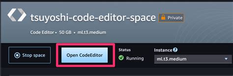 速報 Sagemaker Studioが大幅改良！ Vscode Ossのcodeeditorがリリース。web用ideも高速に進化