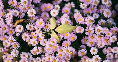 Свята у жовтні 2024 року в Україні чи будуть додаткові вихідні — Різне