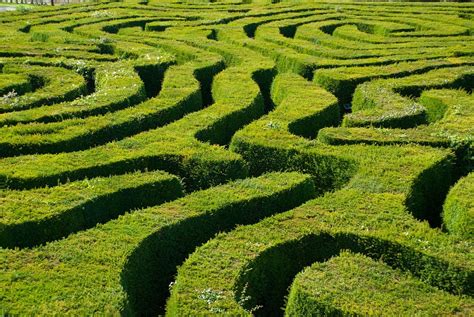 Pythons Ordereddict Class Crashcourse By Irene Wang Medium