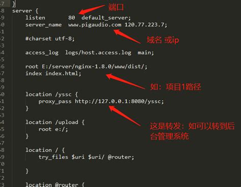 Nginx简单配置多个server 腾讯云开发者社区 腾讯云