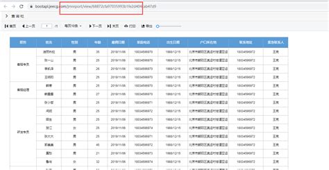 对接token鉴权和权限 Jimureport 文档
