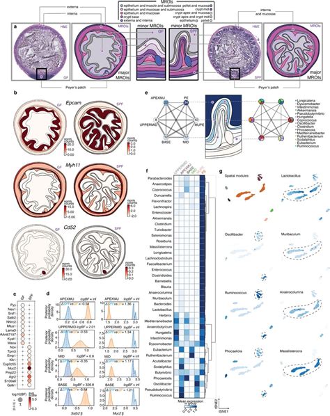 sequence data spatial transcriptomics bioz