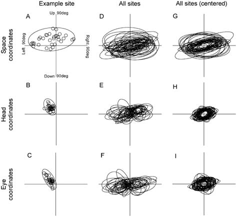 Gaze Convergence In Different Frames Across Sites A C Trajectories Download Scientific