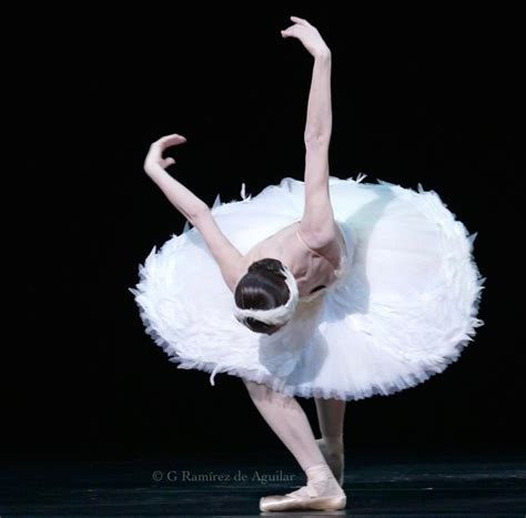 Ulyana Lopatkina Ballet Art Ballet Dancers Ballet Photography Dance