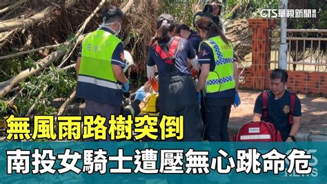 無風雨路樹突倒 南投女騎士遭壓無心跳命危｜華視新聞 20240630 Youtube