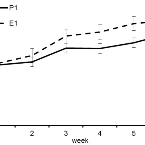 Body Weight Development Of The Mice In Trial 1 Mice Fed Diet E1 Show