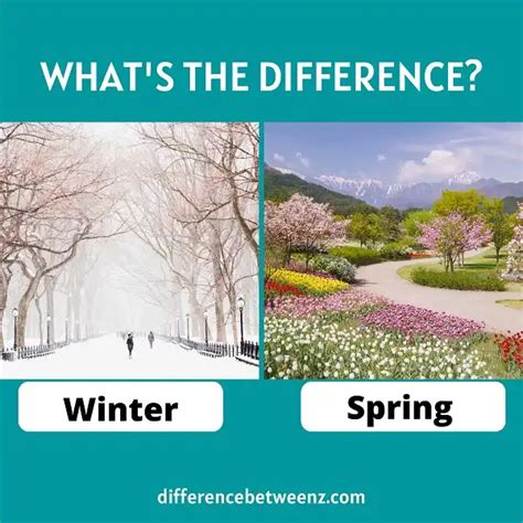 Difference Between Winter And Spring Difference Betweenz