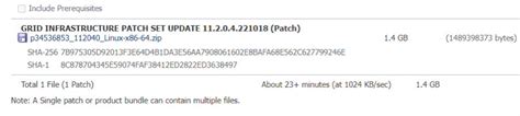 Linux Aix Oracle 11204 最新补丁集 2022年10月份补丁集：11204221018 Db Psu Gi