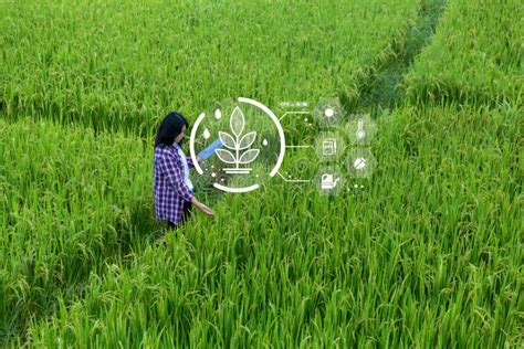 Smart Farming With Internet Of Things Iot Concept Agriculture And