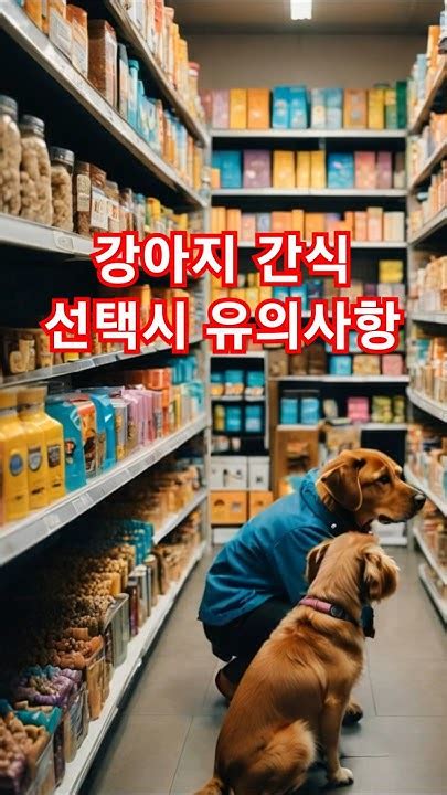 강아지 간식 선택시 유의사항 강아지 반려견 강아지간식 Youtube