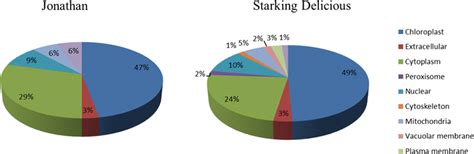 Subcellular Localization Of Differentially Expressed Proteins In
