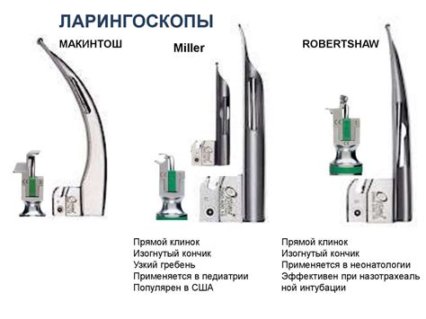 Верхние дыхательные пути. Анатомия - презентация онлайн