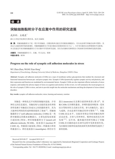 Pdf Progress On The Role Of Synaptic Cell Adhesion Molecules In Stress