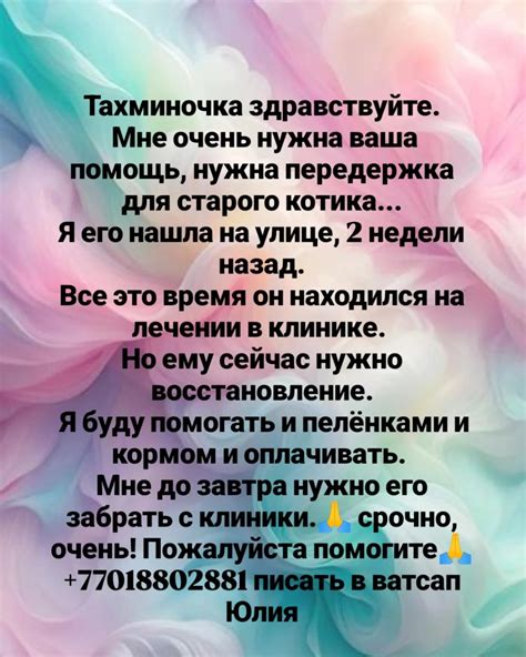 Собаки I Кошки I Kотята I Щенята I ШЫМКЕНТ Помогите пожалуйста найти