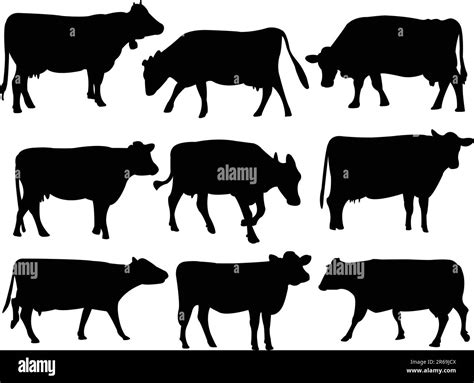 Cow Silhouette Collection Vector Stock Vector Image And Art Alamy