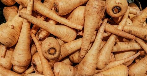 5 best earthy alternatives to parsnips for your dishes and recipes