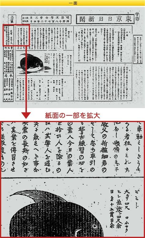 1872年の紙面の品質についてご案内 お誕生日新聞オンラインショップ