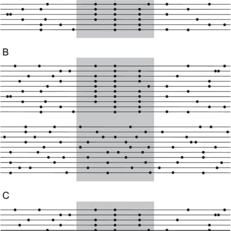 Schematic Diagrams For The Polymorphism Data Analyzed By The Download Scientific Diagram