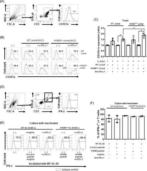 Blockade Of The Btla Hvem Signaling Does Not Affect The Degranulation