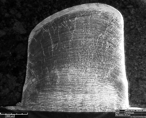 Manufactured Multilayer Cuboid Sample In Cross Section Download Scientific Diagram