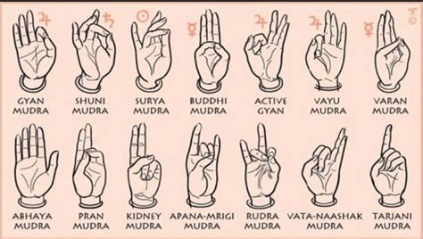 Mudra Parmak yogası nedir Erzincan Haber Erzincan