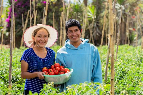 Helping Guatemalans Feed Their Families Boost Crops Shareamerica