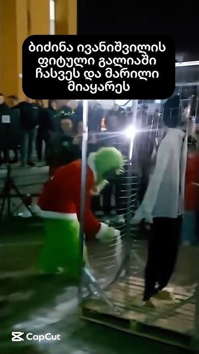 ზუგდიდში ბიძინა ივანიშვილის ფიტული გალიაში ჩასვეს და მარილი მიაყარეს Youtube