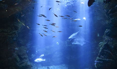 The Debate Is Over The Oceans Are In Hot Hot Water Grist