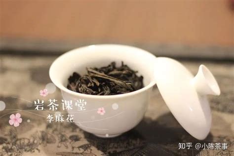 关于岩茶冲泡的6个小细节 大多数茶友都忽视了 知乎