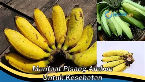 Ketahui 8 Manfaat Pisang Ambon Untuk Kesehatan Yang Bikin Kamu