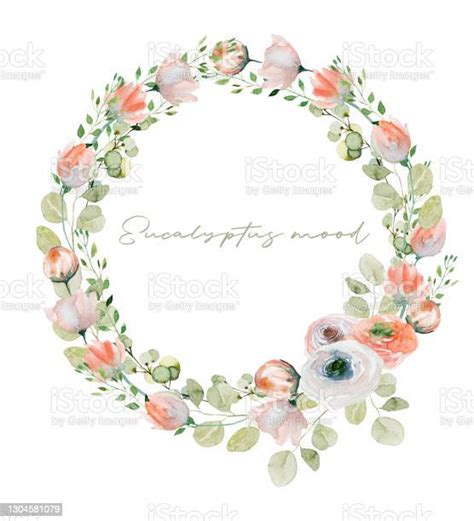 수채화 샘물화 분홍색 부드러운 야생화 녹지 및 유칼립투스 가지 흰색 배경에 손으로 그려진 고립 된 그림 결혼식에 대한 스톡 벡터 아트 및 기타 이미지 Istock