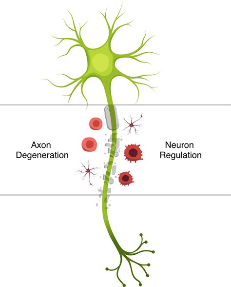 Axon Nura Bio