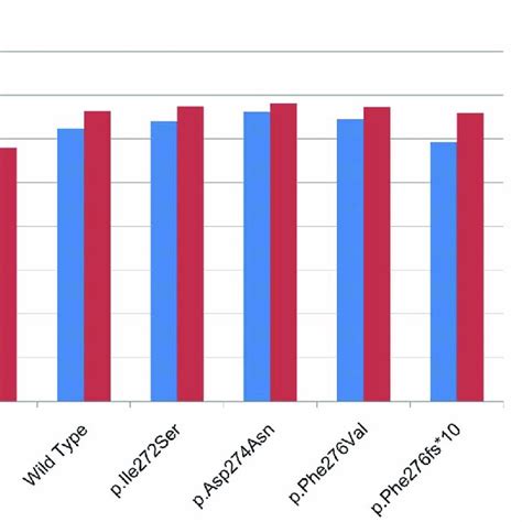 Western Blot Analysis Hek293t Cells Were Transiently Transfected With