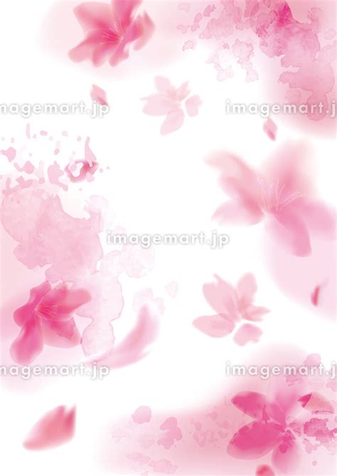 桜の水彩画 ふわふわ優しい手描き風イラスト 245091732 イメージマート