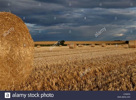 Barley Straw Round Bales In A Stubble Field In Norfolkuk Sun Lit Dusk