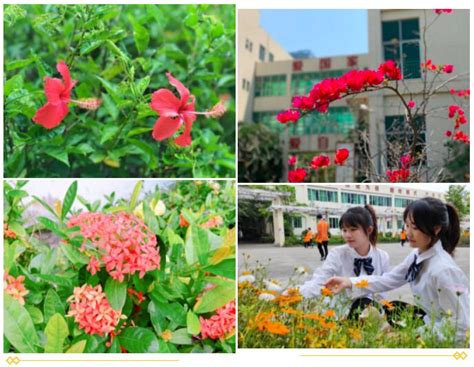 春日风景正好，与我一同畅游美丽的珠海市创沃中等职业学校