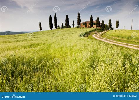 Fattoria In Toscana Vicino A Pienza Italia Fotografia Stock Immagine