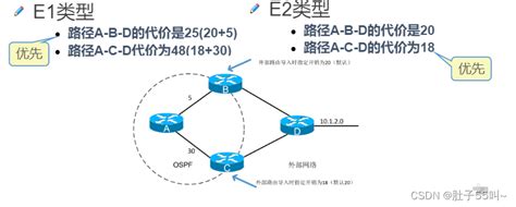 Ospf网络优化：路由重分发、nssa区域与地址汇总 Csdn博客