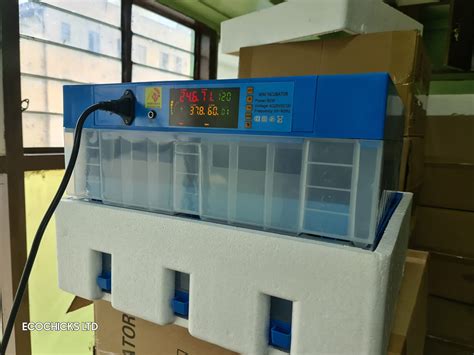 Egg Incubator For Hatching Chicken Eggs Ecochicks Poultry Ltd