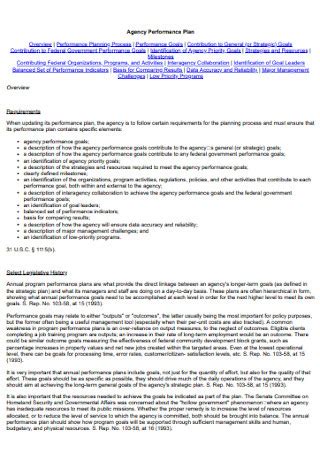 50 SAMPLE Performance Plans In PDF MS Word